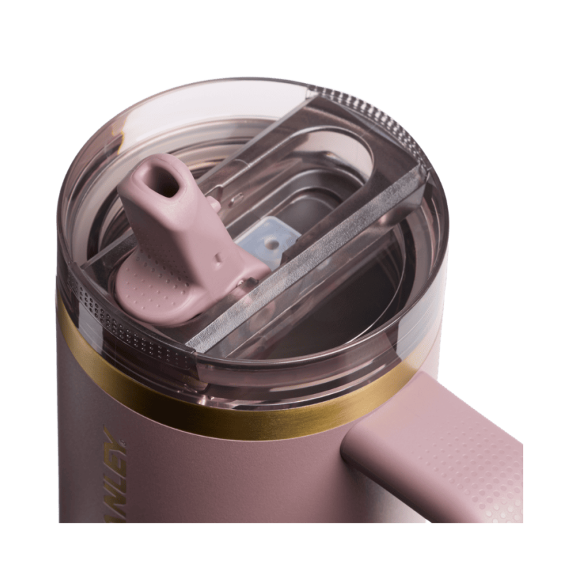 Termo Stanley Quencher Protour Fall Refresh